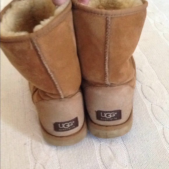 UGG | Shoes | Ugg Classic Short Chestnut Boots Size 8 | Poshmark